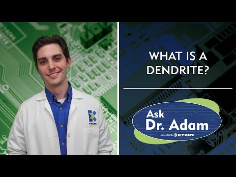 Dr. Adam Archive | KYZEN: Eco-Friendly Cleaning Products, Industrial ...