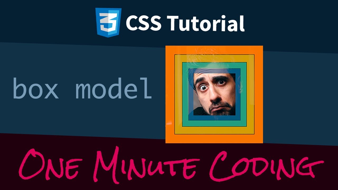 CSS Box Model