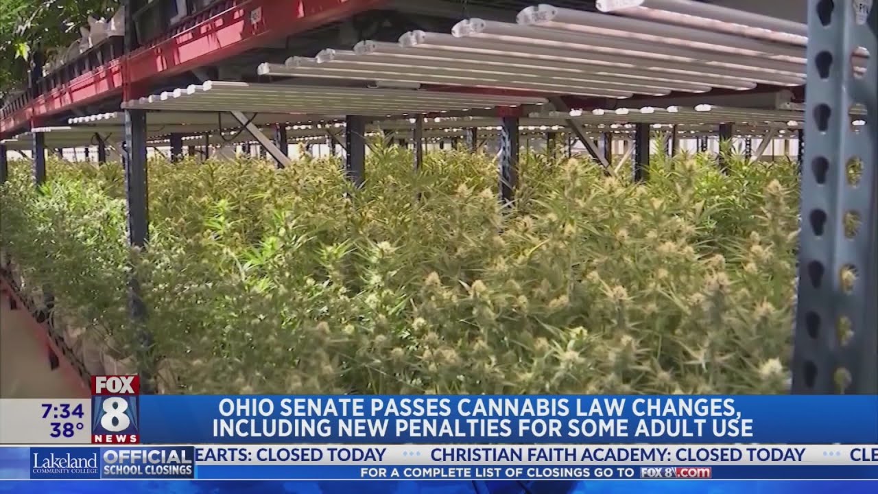 Ohio legislature approves marijuana law changes