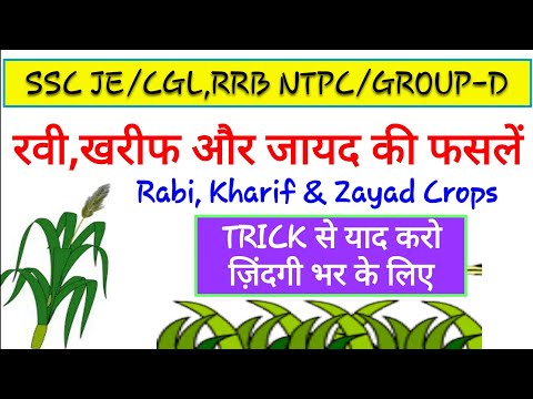 Science Gk trick hindi | Rabi,kharif & zayad crops | रबी,खरीफ और ज़ायद की फ़सलें | SSC JE/CGL,RRB NTPC