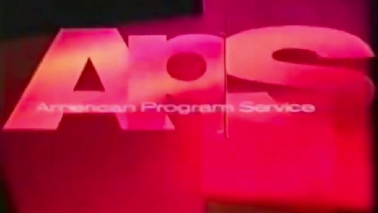 American Program Service (1998)