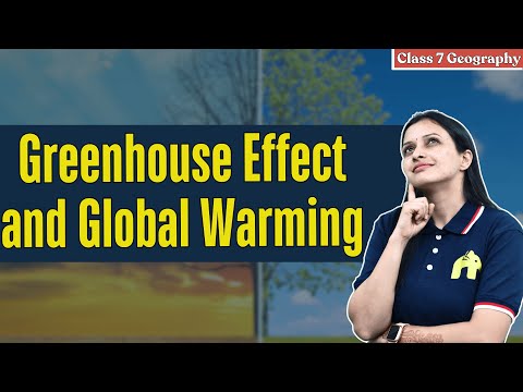 Greenhouse Effect and Global Warming Class 7 ICSE Geography | Selina Chapter 4