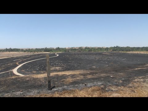 Heatwave impacts Woodward Park: Fire risk and few visitors