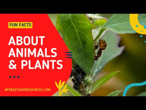 Animals and Plant Science Facts | Amazing Facts | Plants and Animals | Environmental Studies