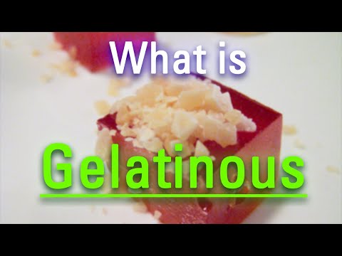 What is Gelatinous? | How to Say Gelatinous in English? | How Does Gelatinous Look?