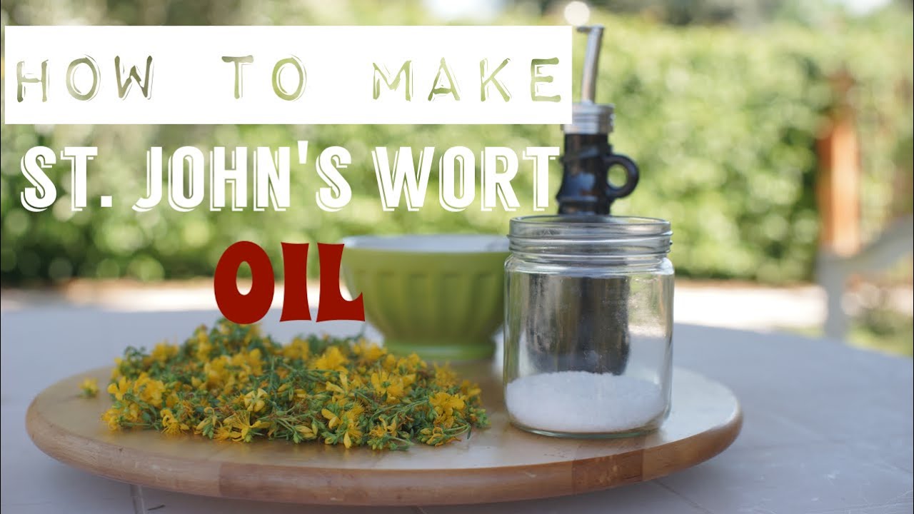 St. Johns Wort Infused Oil - Hypericum Perforatum - Infused Olive Oil Recipe