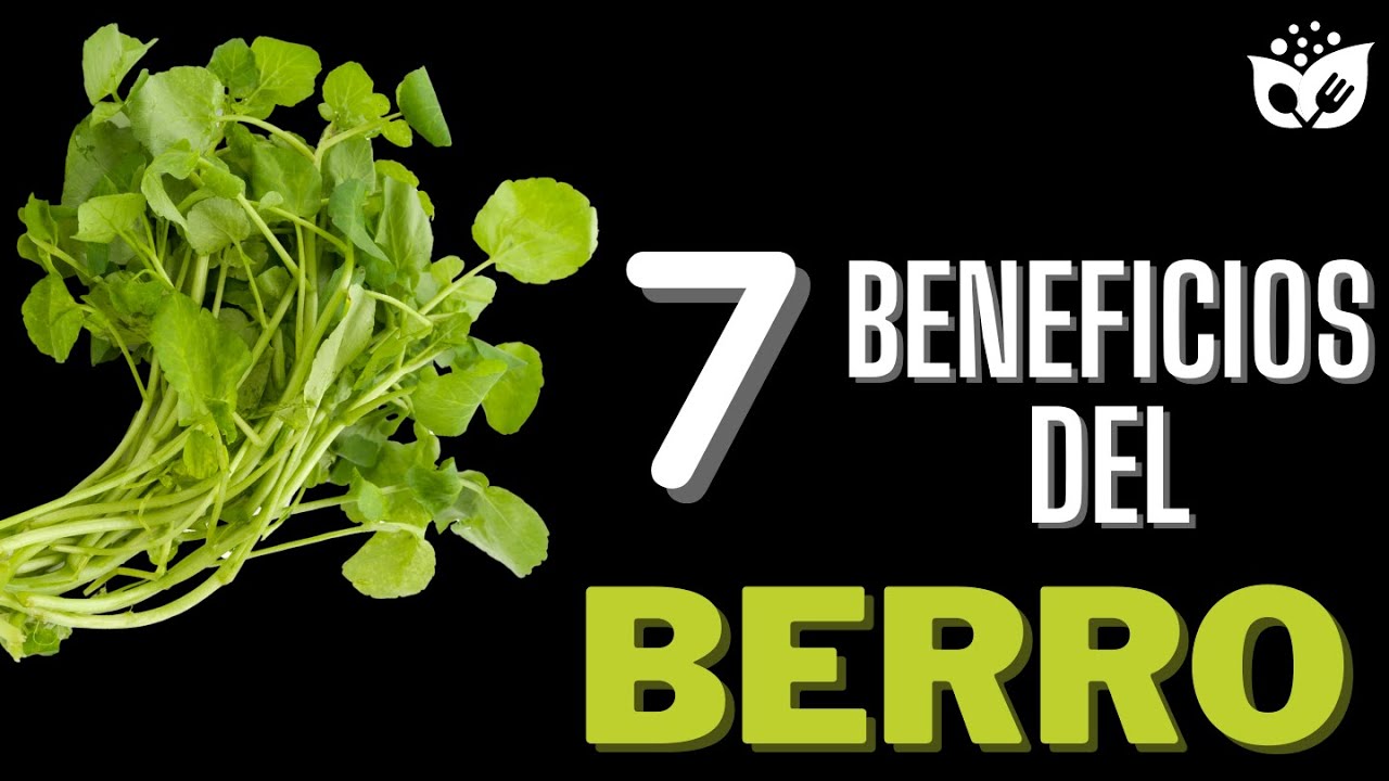 Descubre los 7 Asombrosos BENEFICIOS del BERRO para tu Salud y Bienestar 🌱