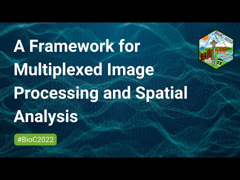A Framework For Multiplexed Image Processing And Spatial Analysis