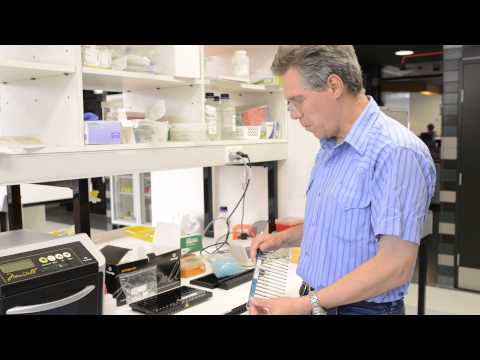 Promega Maxwell DNA/RNA extraction LEV SEV hardware
