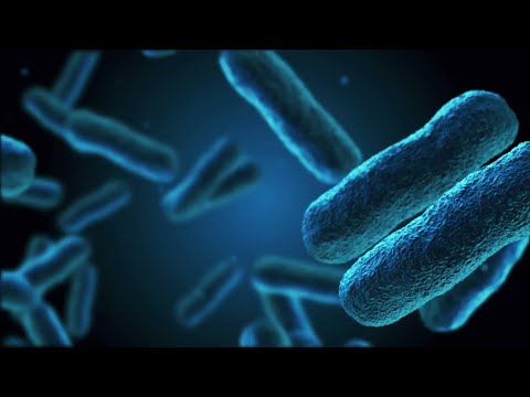 Dr. Christopher Stewart on microbiome research