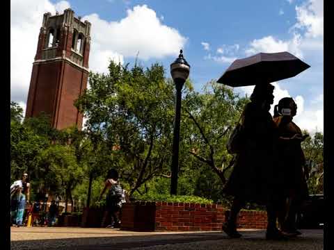 University of Florida Drops in U.S. News Rankings 2025 | Where Does UF Stand?