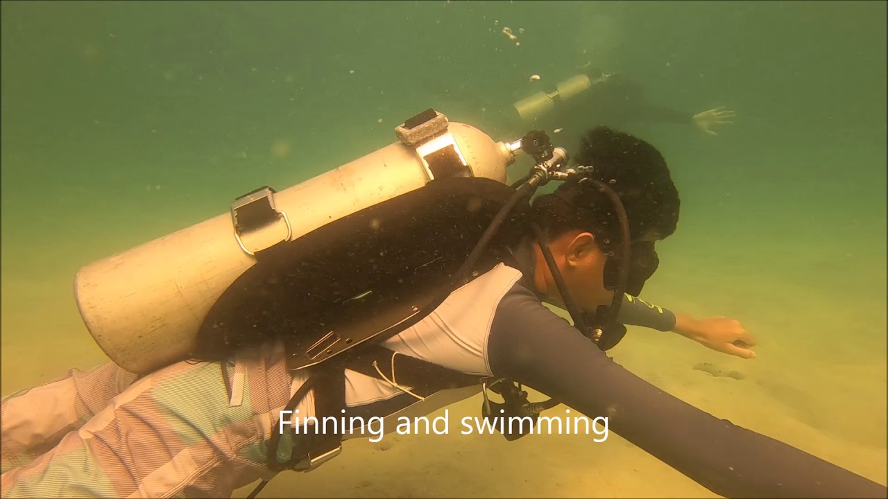 The Ultimate Beginners Guide to Starting Scuba Diving