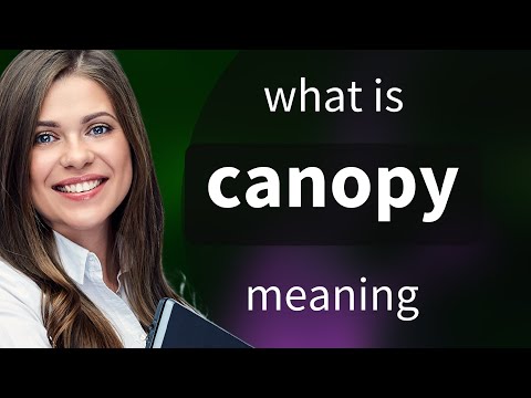 Canopy — what is CANOPY definition