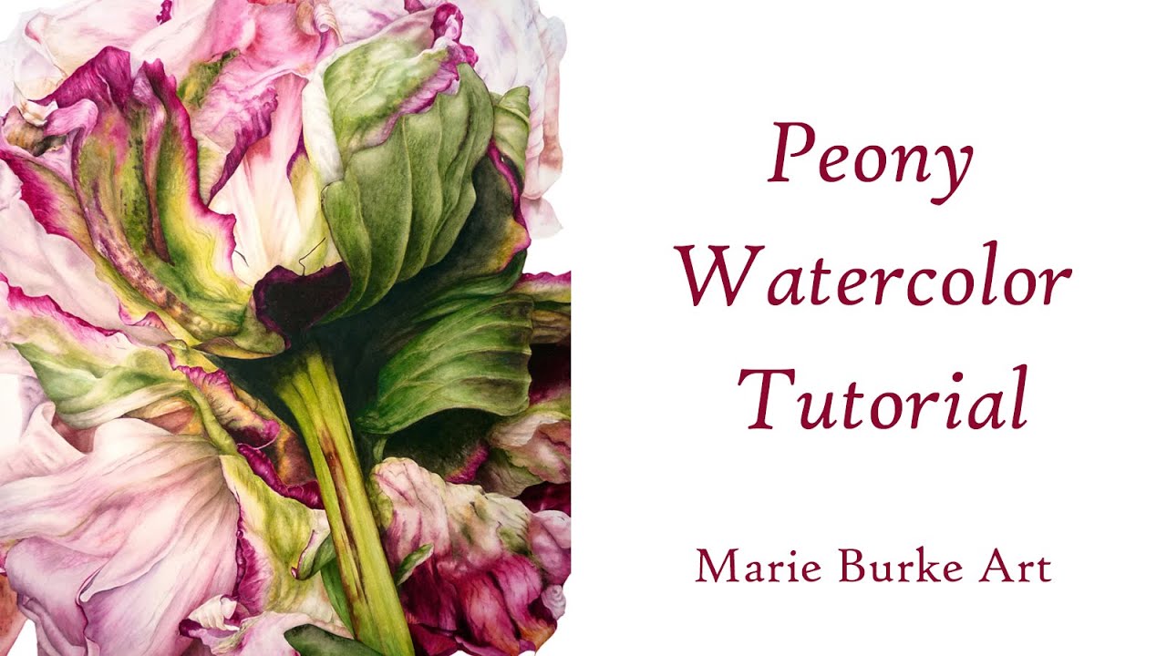 Peony Watercolor Tutorial - Building Up The Layers