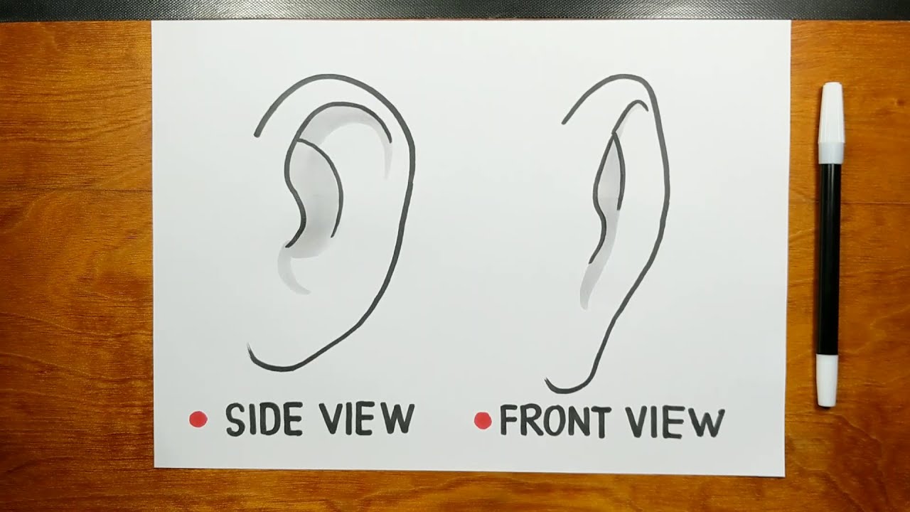 How to draw ANIME EARS step by step