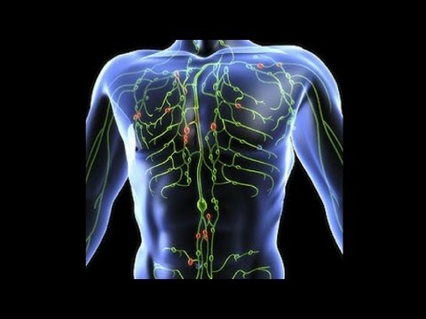 Lymphatic Drainage Therapy | In 3 Steps