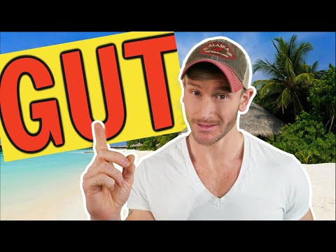 How Your GUT Health Affects Your Immune System