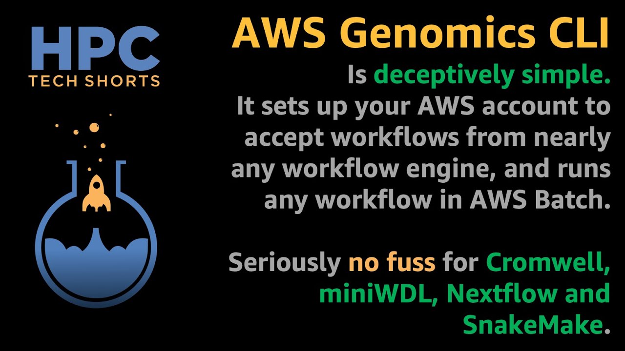 Genomics workflow set made easy with AWS Genomics CLI
