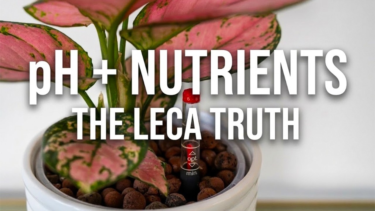 Is Your pH Locking Out Nutrients? | Semi-Hydro Science