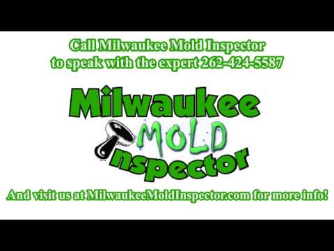 Best Mold Tester in Milwaukee WI
