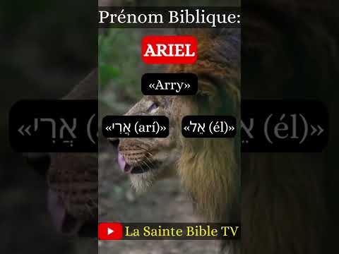 Biblical name meaning Ariel