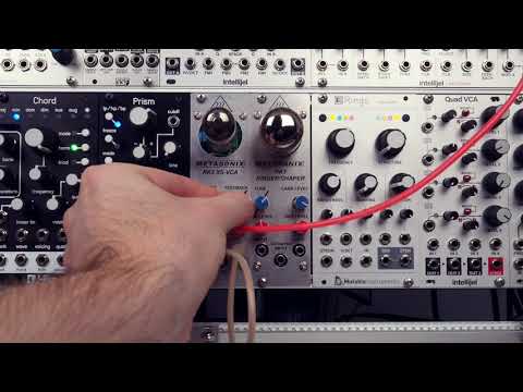 Metasonix ∎ RK2 ∎ XS-VCA ∎ Tube / Valve Topology ∎ [eurorack] | Reverb