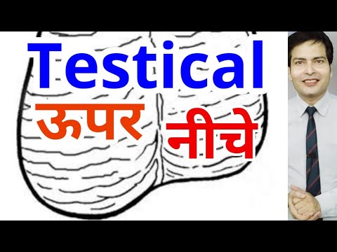Testis ऊपर नीचे uper neeche up down problem hai ya nahi