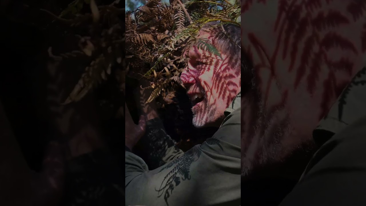 Paul Hilton exposes logging in Australia