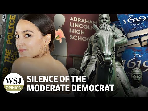 Cancel Culture & The Silence of the Moderate Democrat | Wonder Land: WSJ Opinion