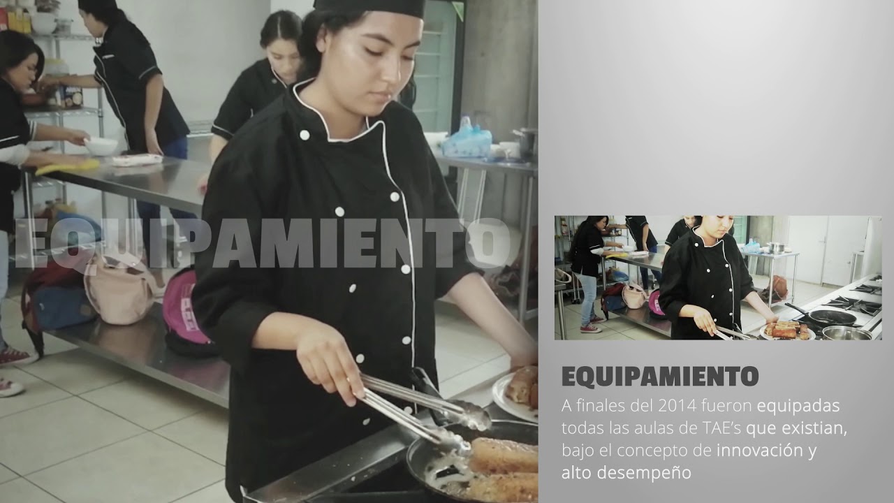 Linea del Tiempo | Preparatoria 19