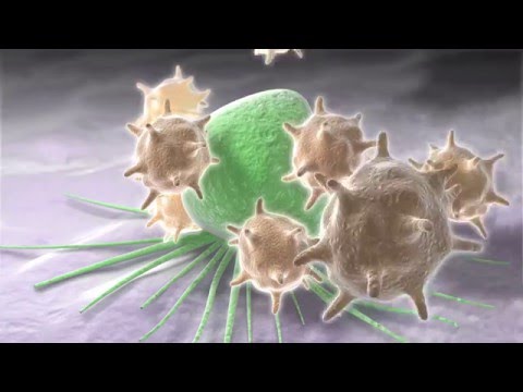 Spark of Discovery Ignites New Era of Cancer Therapies - Mayo Clinic