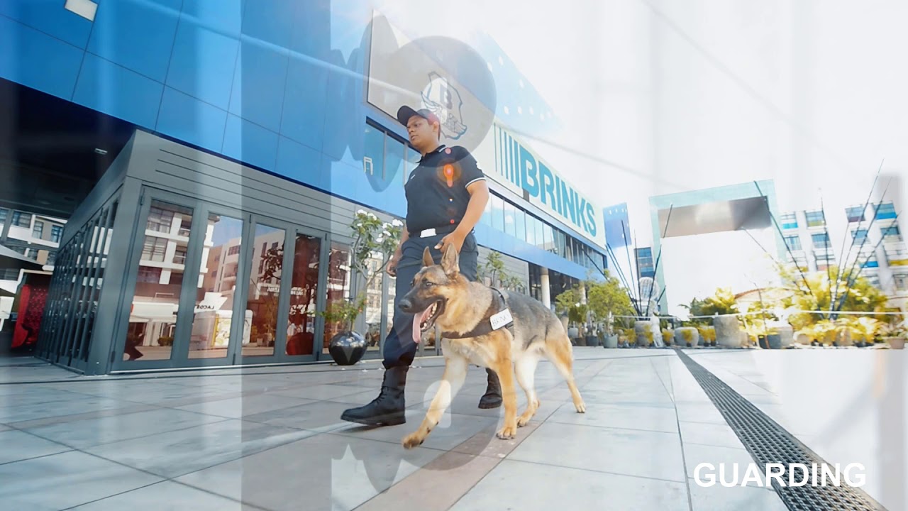 Global Security Solution