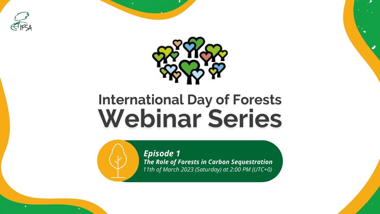 IDF 2023 Webinar Series: The Role of Forests in Carbon Sequestration