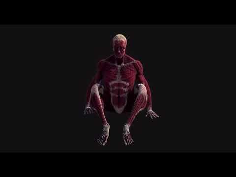How A Human Body Implodes at 3800 Meters (12,500 Feet) Below Sea Level