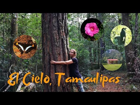 Biósfera "El Cielo", Gómez Farías, Reserva Natural de Tamaulipas