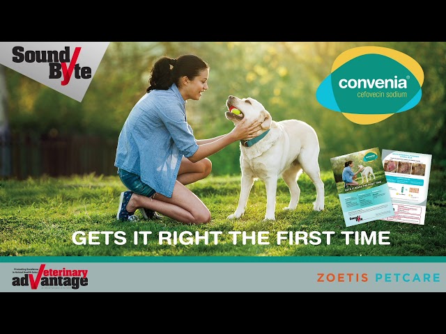 Veterinary Injection - Triquin Injection Quinapyramine Sulphate ...