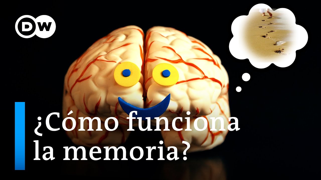 Our memory: how does it work and what benefits it?