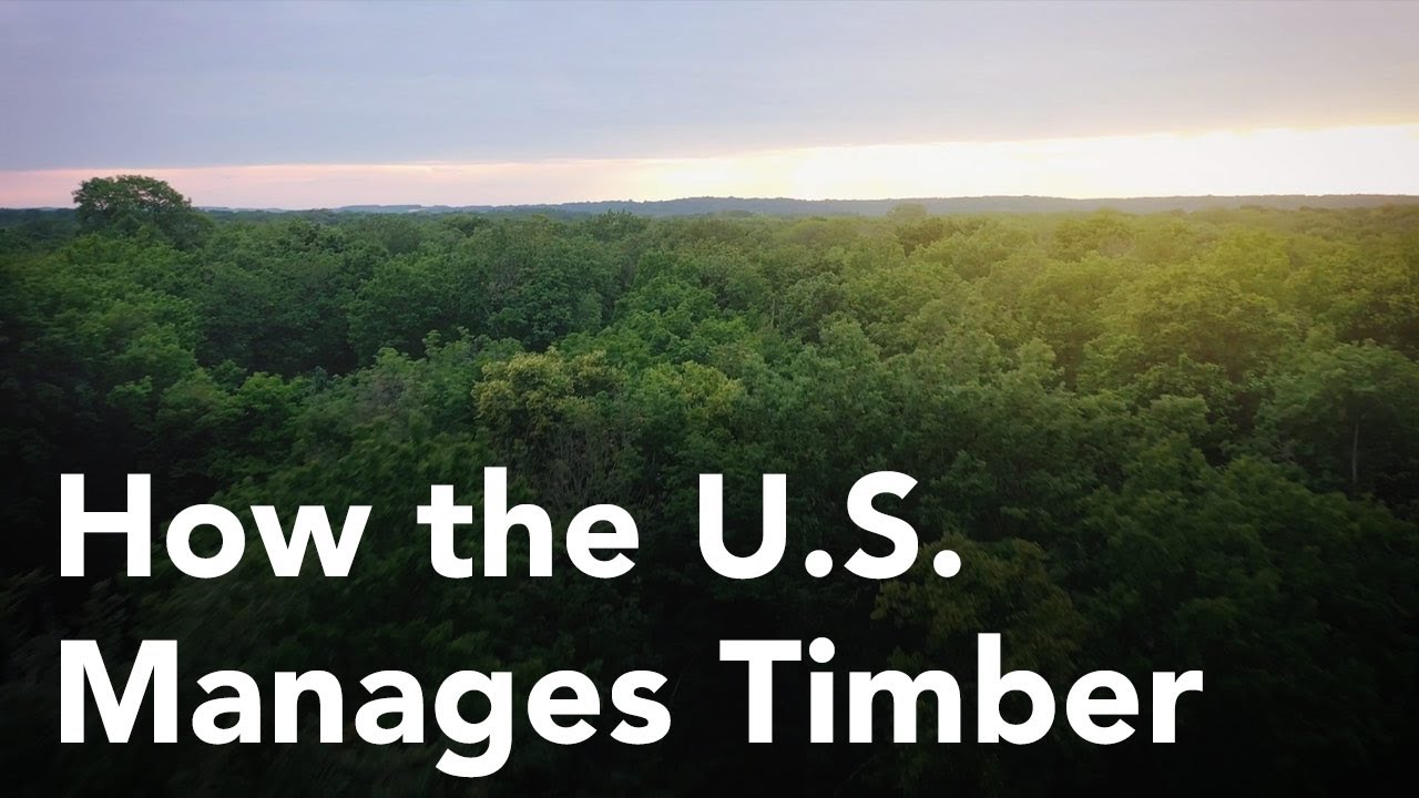 Selection Harvesting - How the U.S. Manages Timber