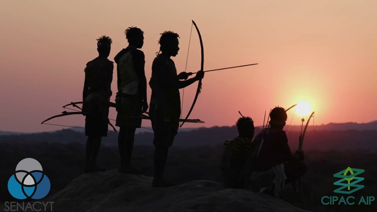 CIPAC-AIP: Línea de tiempo