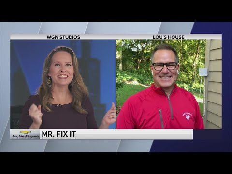 Mr Fix It with tips on keeping a mosquito-free yard