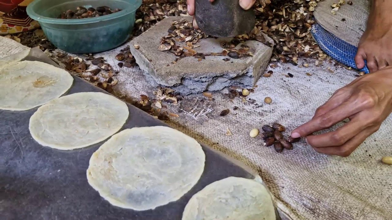 YOU’VE NEVER SEEN THIS BEFORE! FAST MELINJO PEELING WITH A UNIQUE TOOL - Agriculture Farming