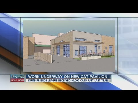 Work underway on new cat pavilion for Dumb Friends League