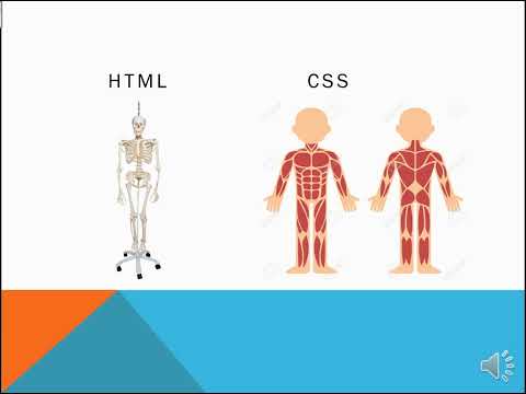 HTML,CSS,JAVASCRIPT (PPT) help for beginners in coding ,explanation.