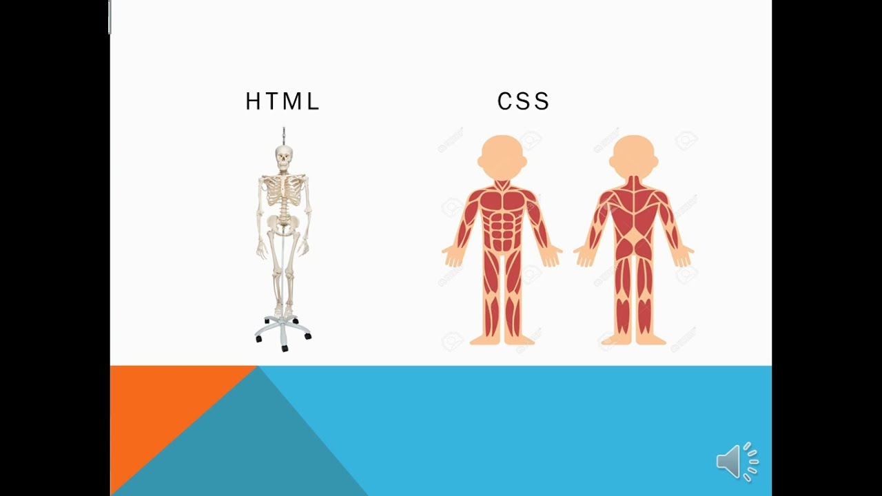 HTML,CSS,JAVASCRIPT (PPT) help for beginners  in coding ,explanation.
