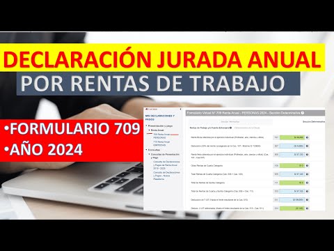 ANNUAL AFFIDAVIT 2024 - EMPLOYMENT INCOME 2024