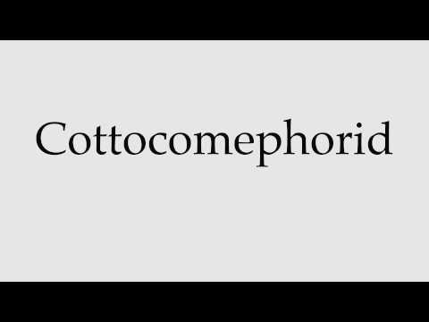 How to Pronounce Cottocomephorid