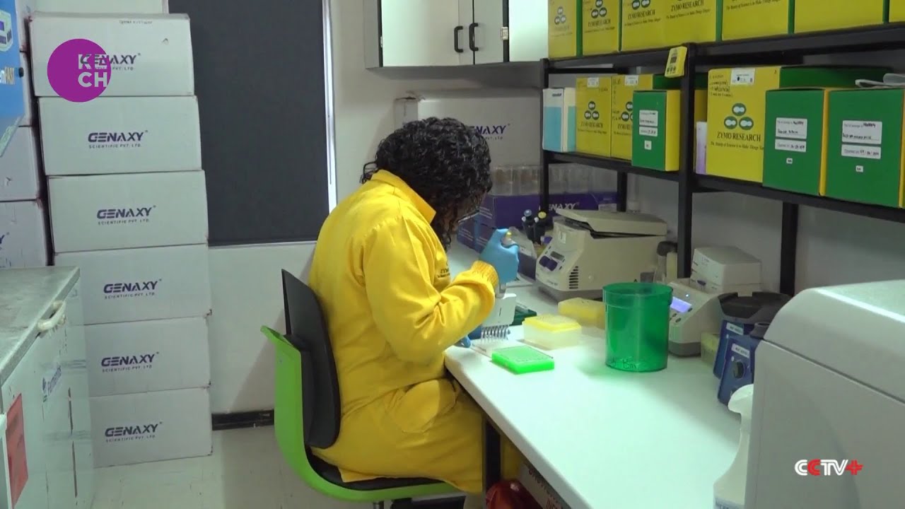 South Africa Launches Africa's First Next-Gen DNA Sequencing Platform