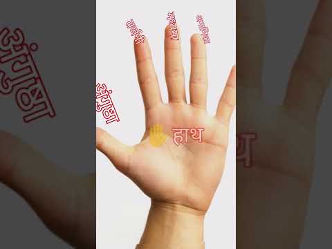 Hast Rekha рд╣рд╕реНрдд рд░реЗрдЦрд╛ рд╣рд╛рде рдХреА рдкрд░рд┐рдЪрдп рдЕрдВрдЧреБрд▓реА рдХреА рдирд╛рдо рдЕрдВрдЧреБрд╖реНрдард╛ рддрд░реНрдЬрдиреА рдордзреНрдпрдорд╛ рдЕрдирд╛рдорд┐рдХрд╛ рдХрдирд┐рд╖реНрдард╛ рдордгрд┐рдмрдиреНрдз