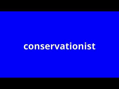 what is the meaning of conservationist
