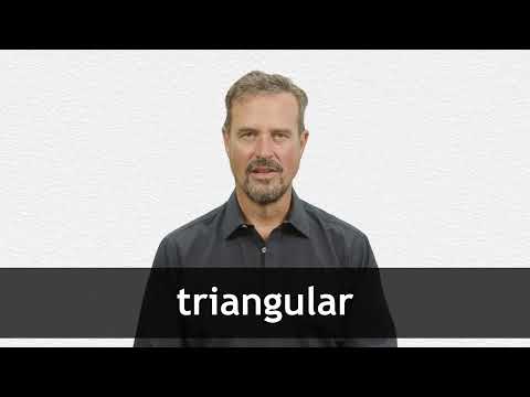 TRIANGULAR 释义 | 柯林斯英语词典